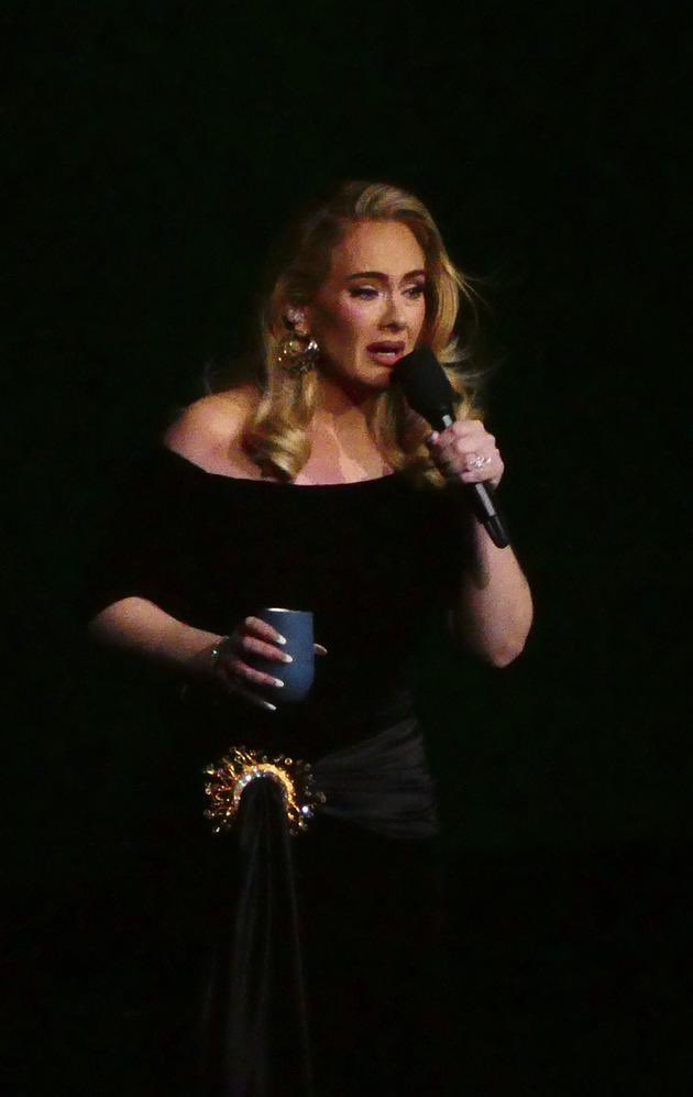 A Tribute to Kindness: Adele’s Heartfelt Performance for Jane Goodall ...
