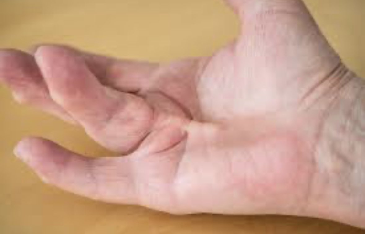 Thread by @d_ramonfaur on Thread Reader App – Thread Reader App