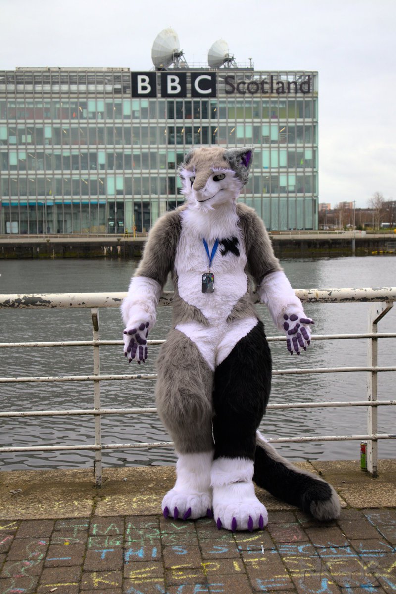 New pinned post time Hi, I'm stoni sergal I've been in the fandom for ...