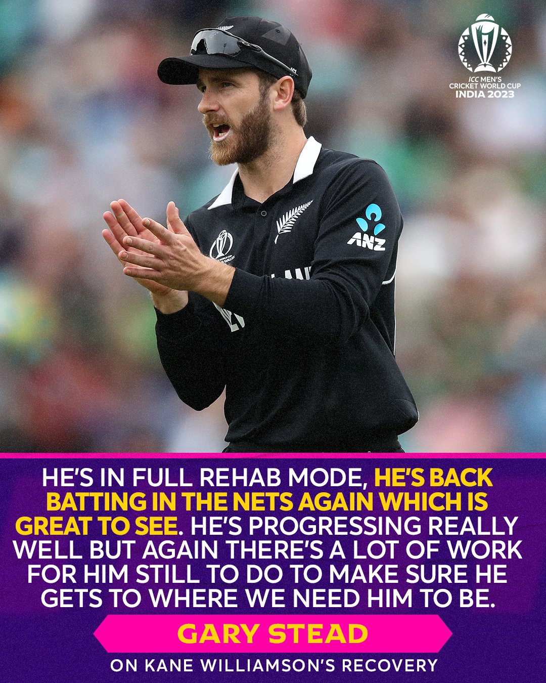 Cricket Fitness Quotes