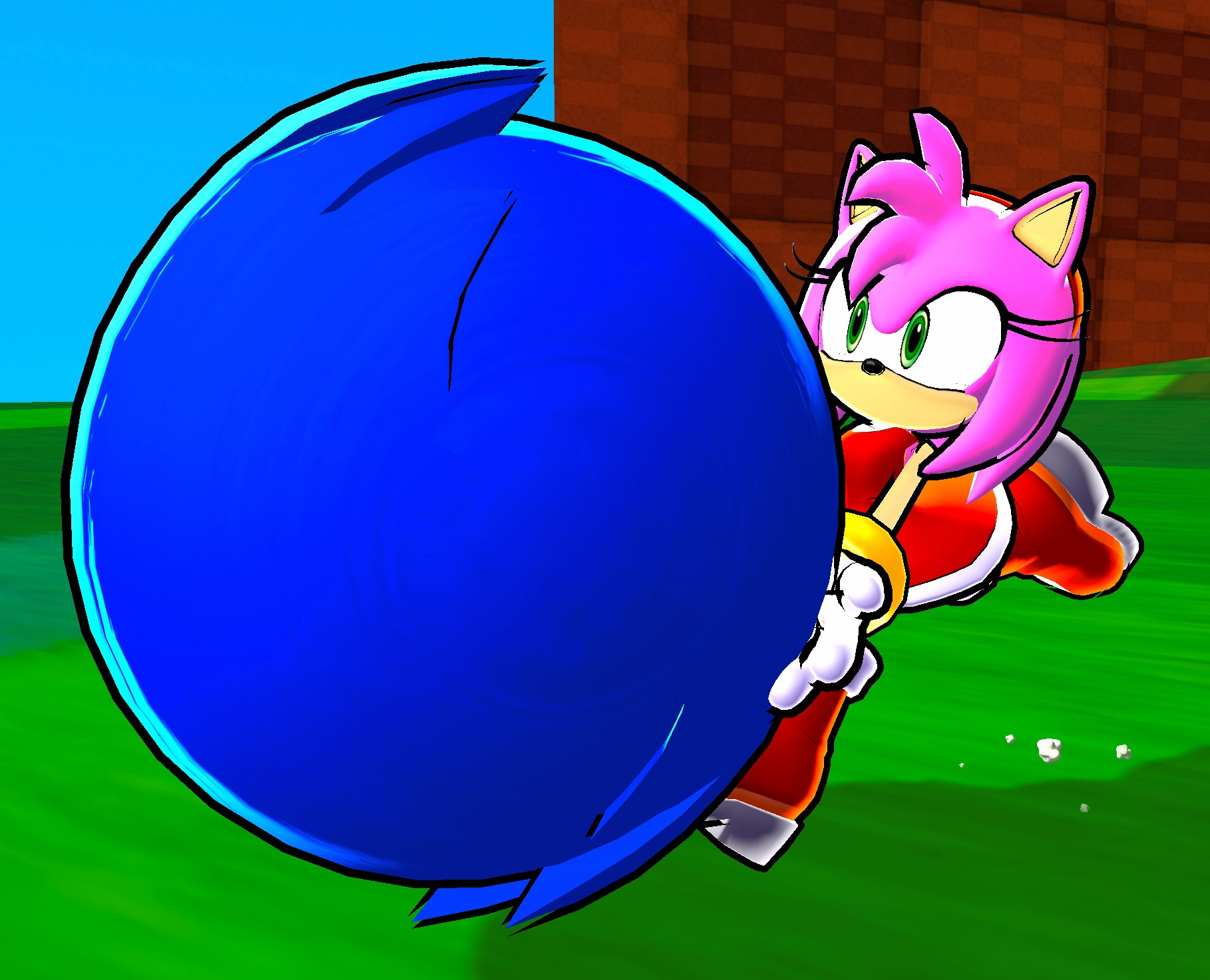 Amy Rose Blueberry Inflation