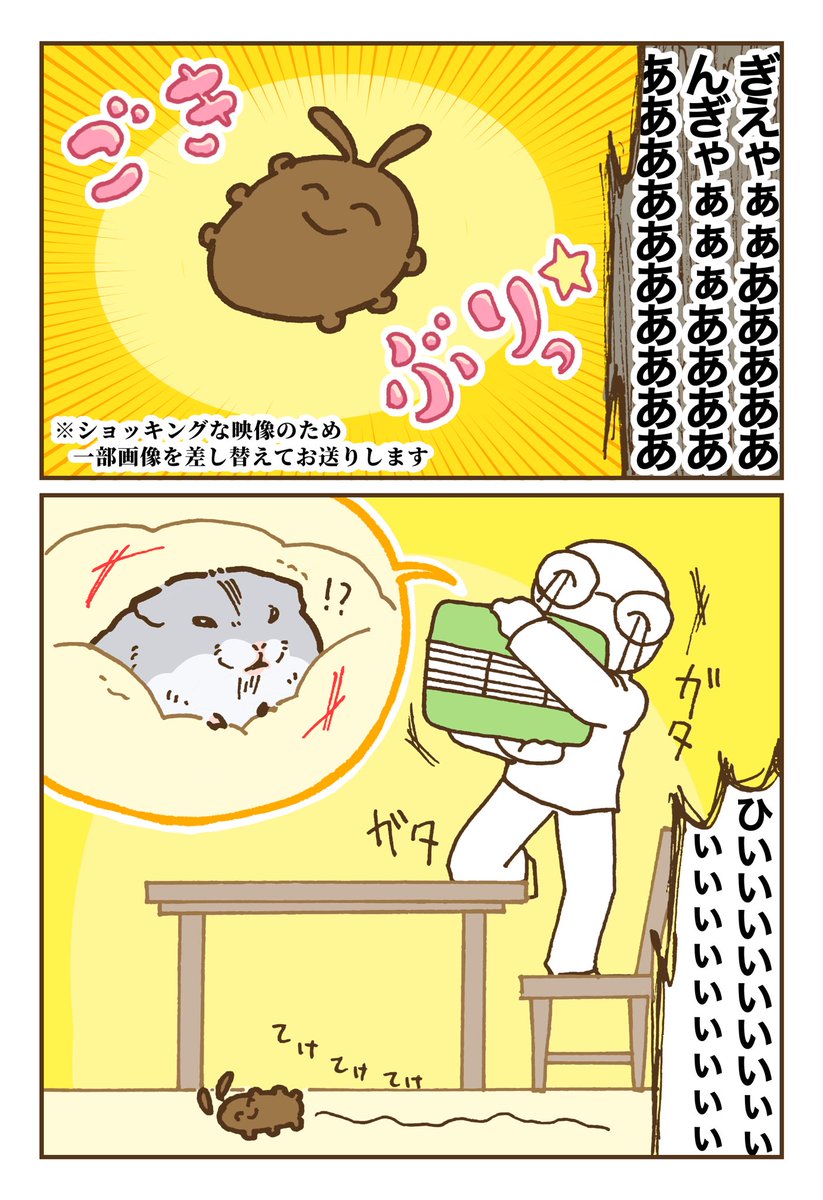 「もしかしてゴキより早い再掲 」遊ハち@ハムスター飼いの漫画