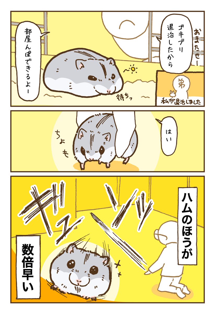 「もしかしてゴキより早い再掲 」遊ハち@ハムスター飼いの漫画