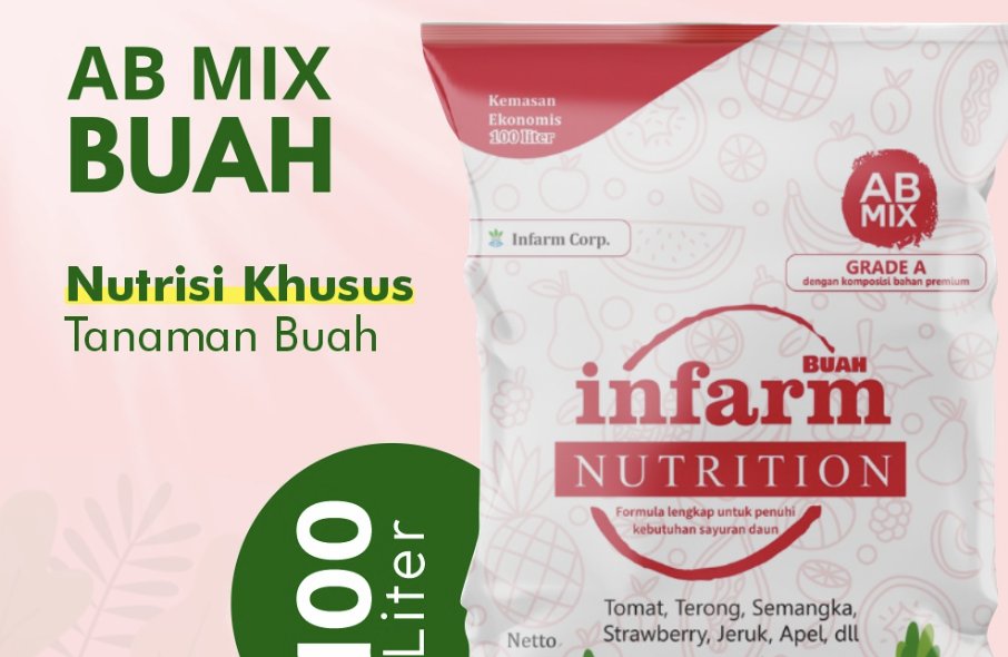 TEKNIK TANAM MELON HIDROPONIK JEPANG ALA DRONE EMPRIT Hanya dengan 6 ...