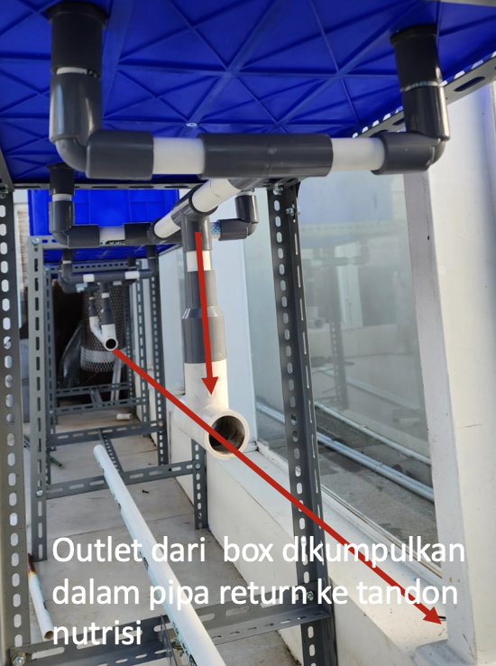 TEKNIK TANAM MELON HIDROPONIK JEPANG ALA DRONE EMPRIT Hanya dengan 6 ...