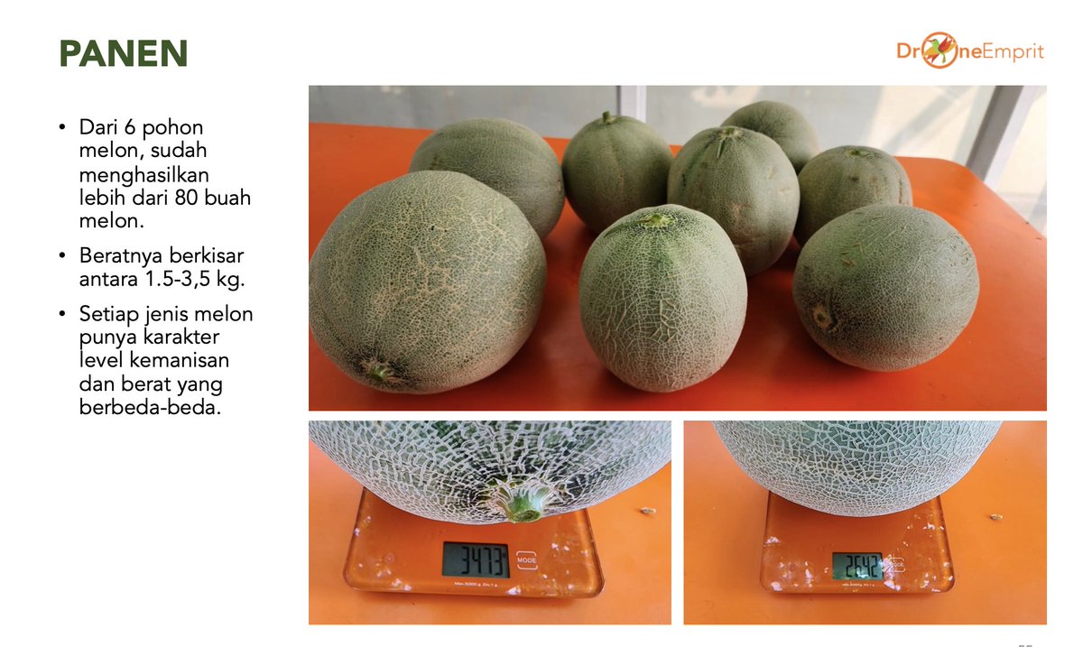 Thread by @ismailfahmi on Thread Reader App – Thread Reader App