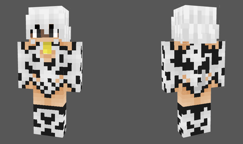 Silver Minecraft Skin