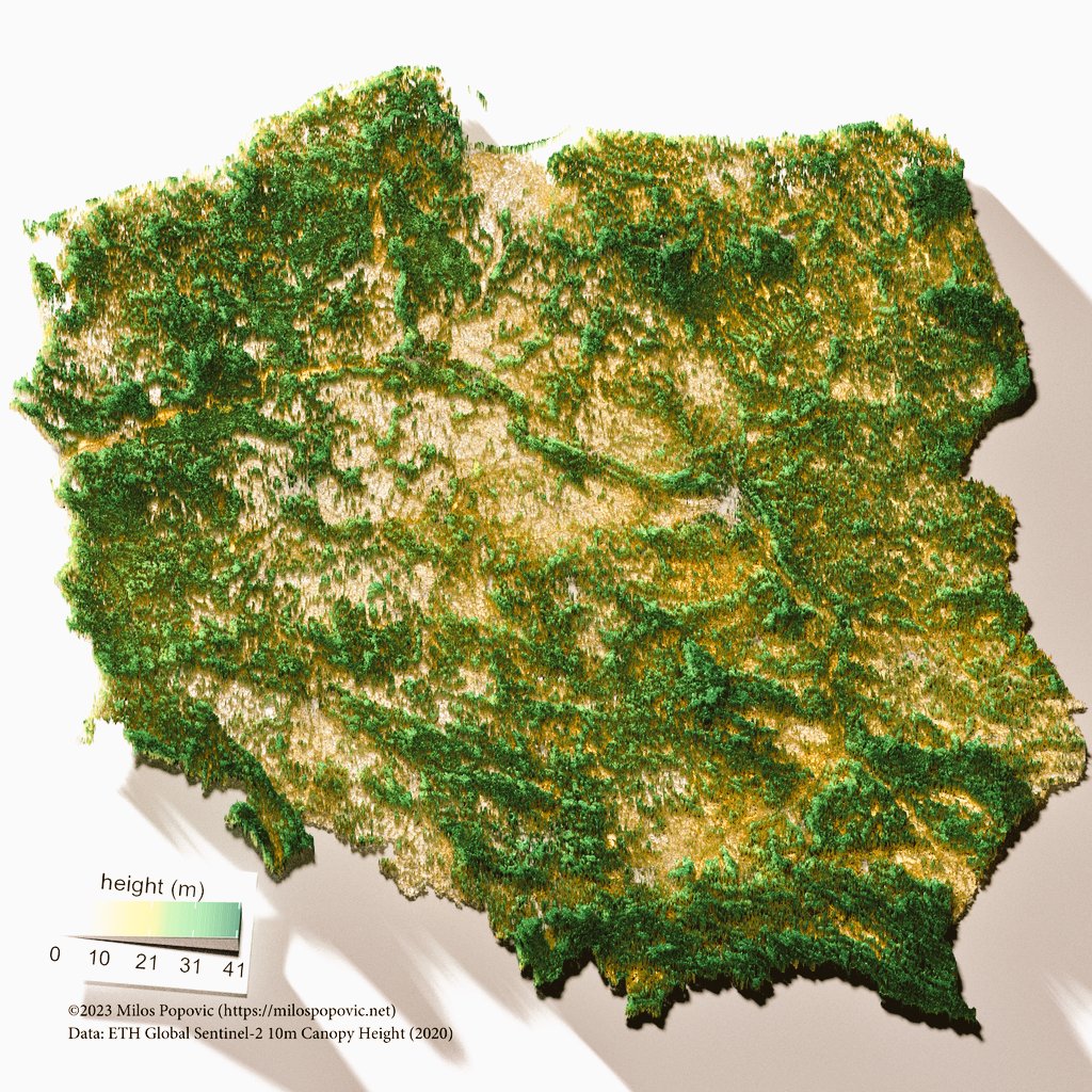 Polish Forest Map