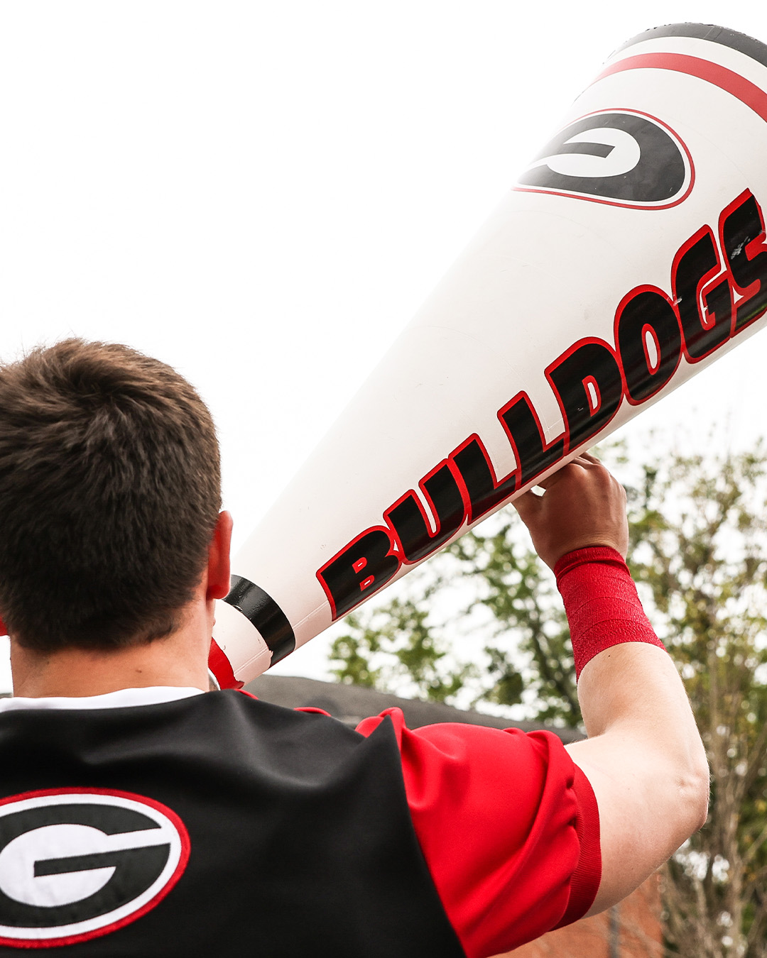 Bulldog Baseball Bat