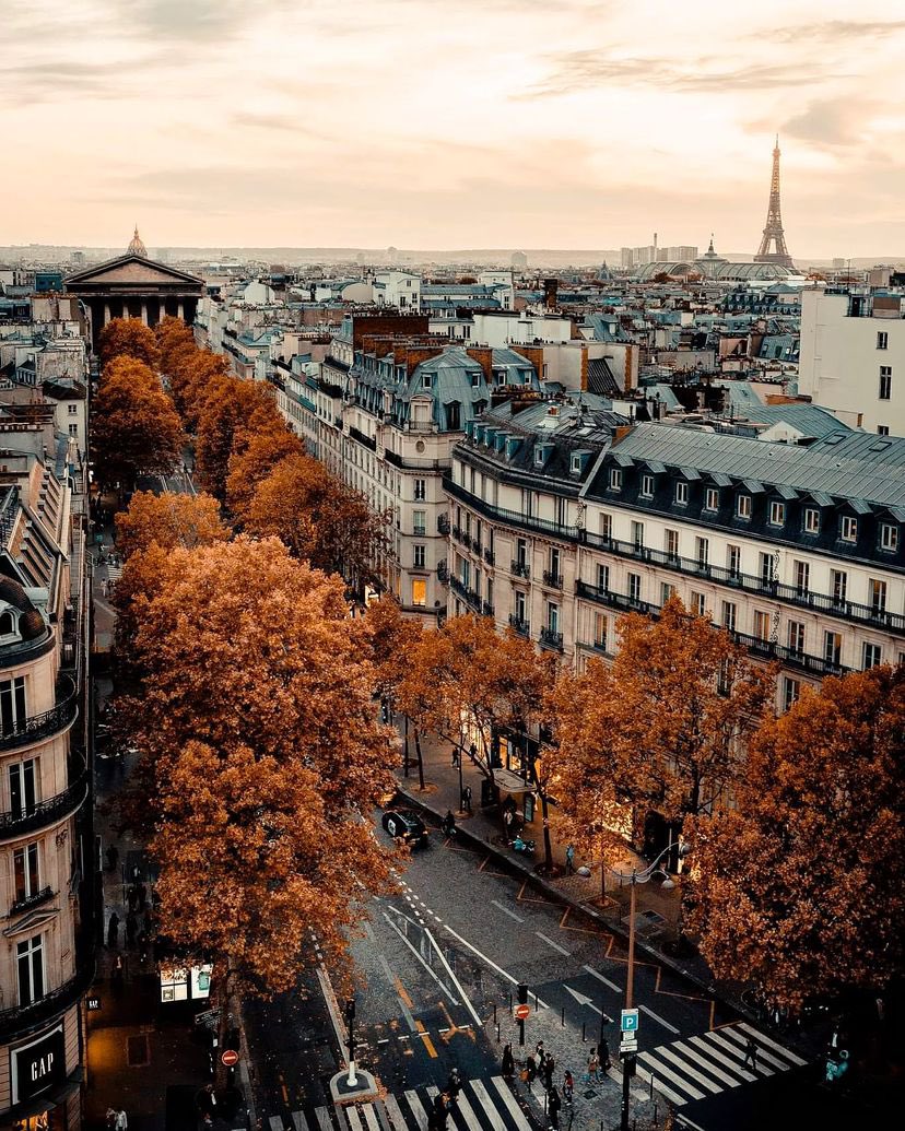 Paris Tumblr Wallpaper