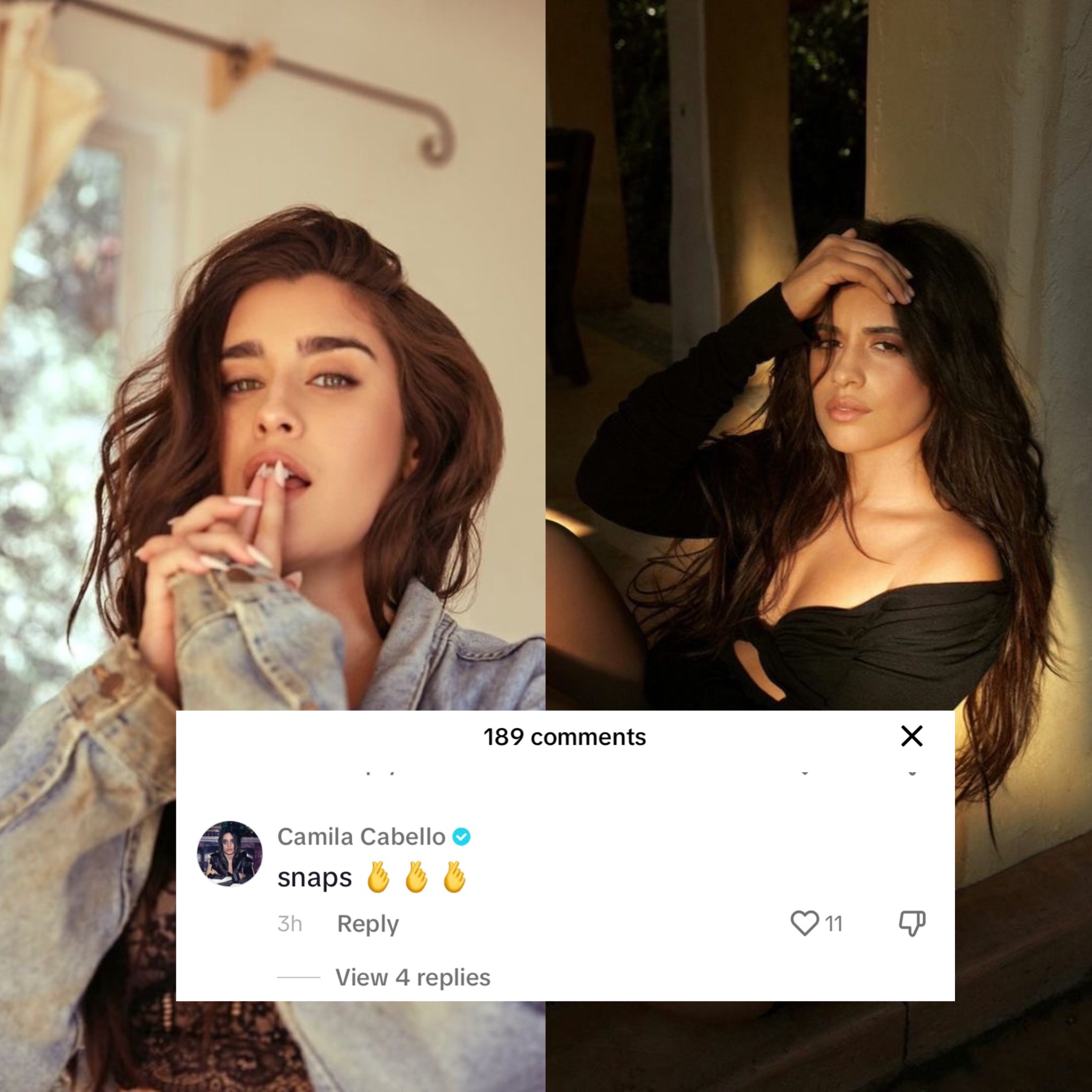 Lauren Jauregui And Camila Cabello Tweets