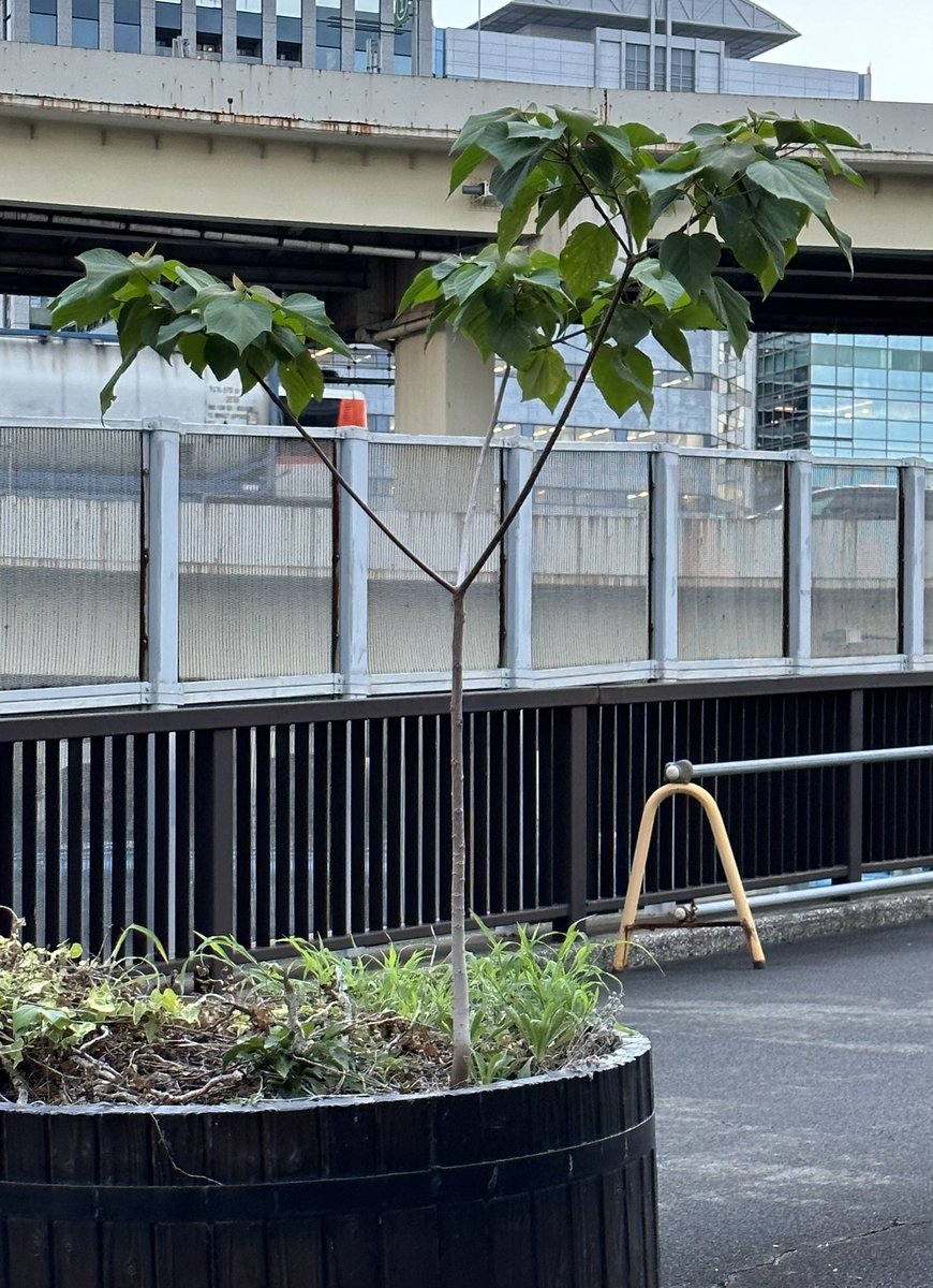 technote(@technote) - Twilog