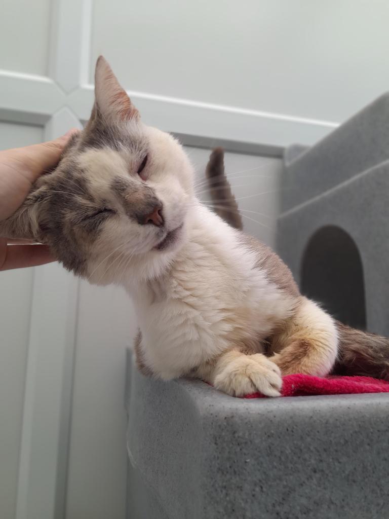 Hannah Sheppard Literary Agency Home | Hannah Sheppard Literary ...