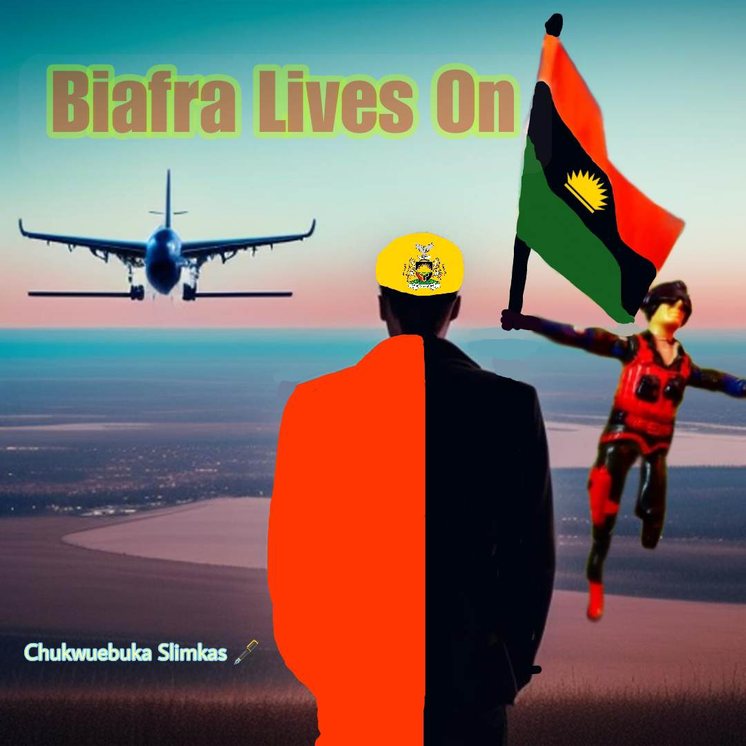 The @_AfricanUnion should be concerned about the rights, freedoms and ...