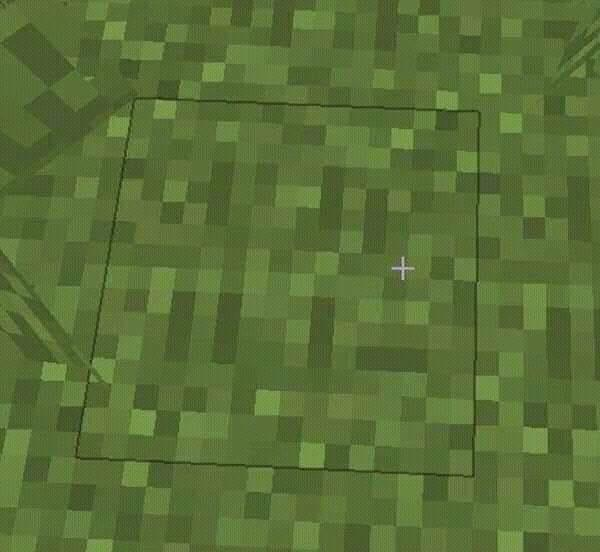 Minecraft Grass Block Top