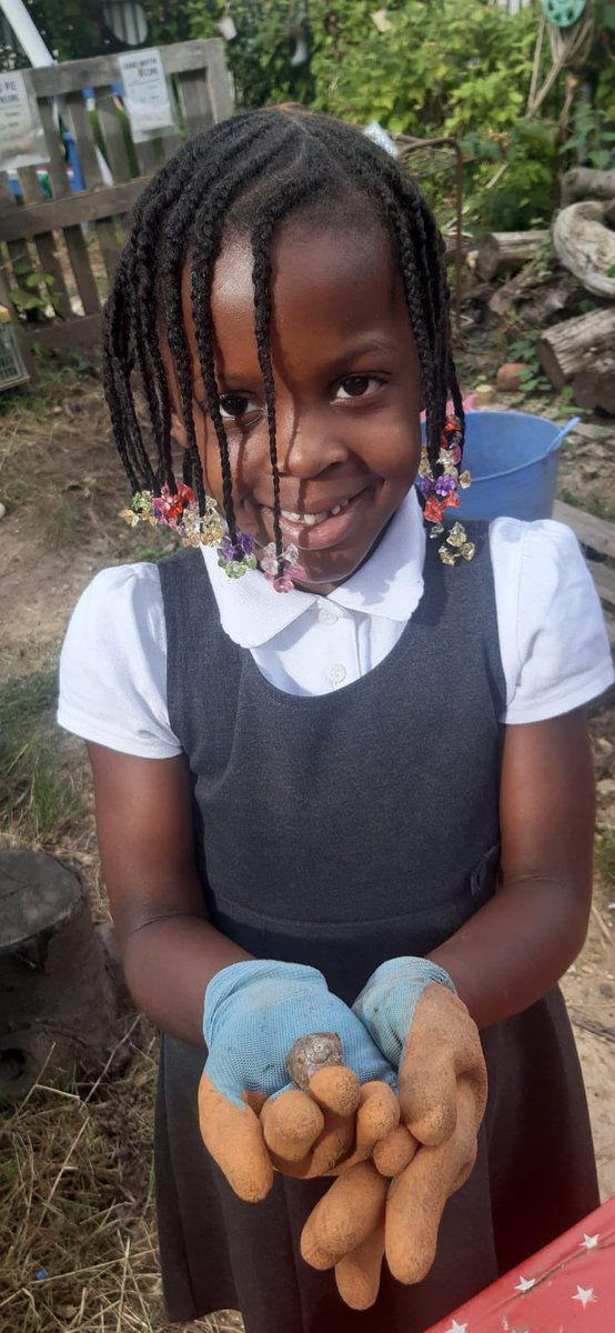 Welcome to Cheam Common Infants’ Academy