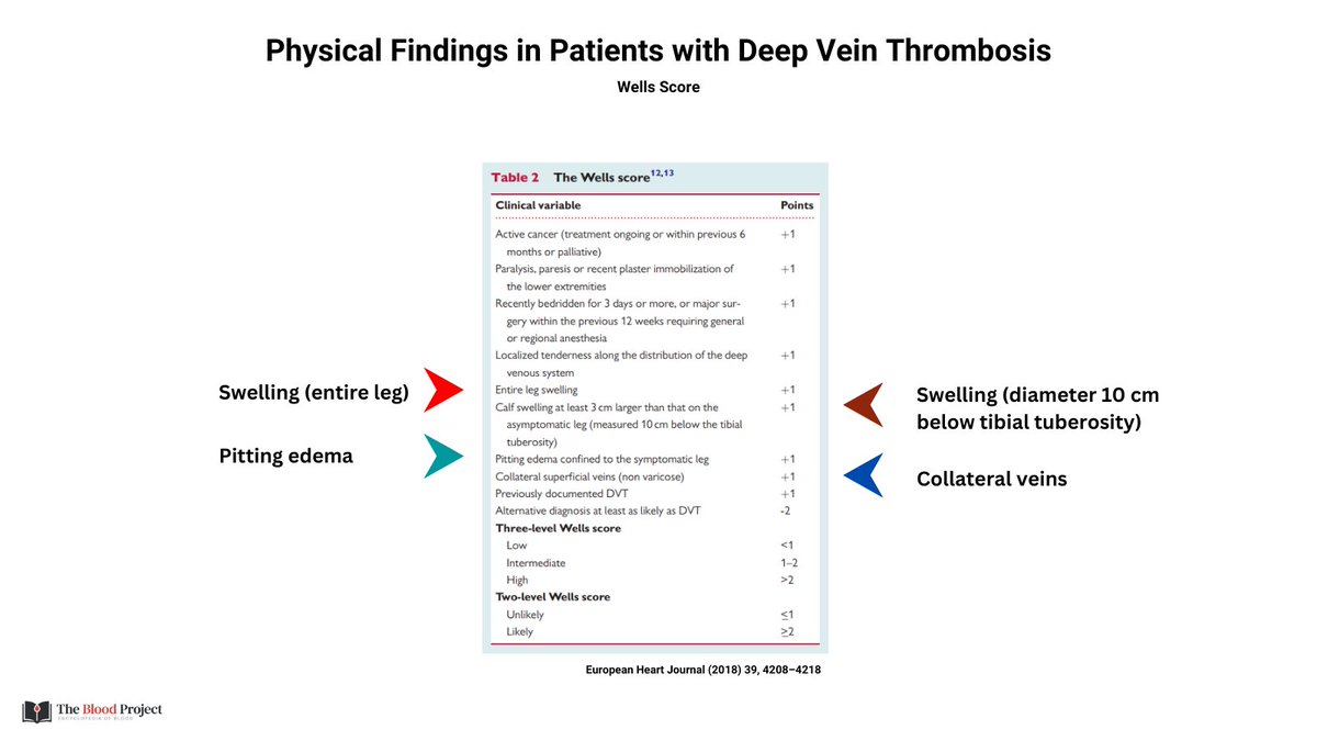 1/6 DVT - PHYSICAL EXAM I am on a physical exam kick, reliving ...