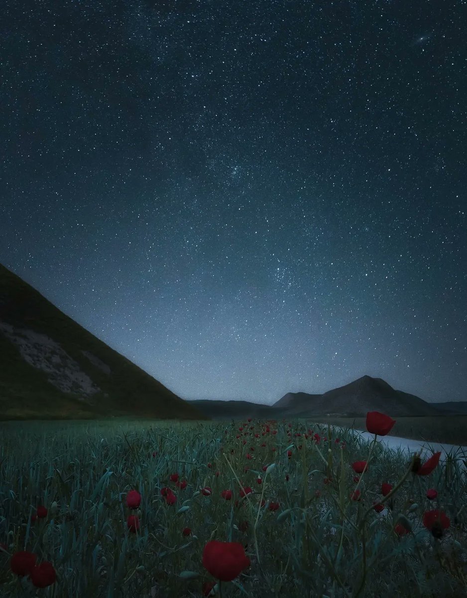 Poetry | Call Me by My True Names By Thich Nhat Hanh