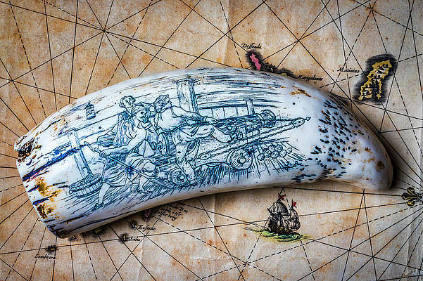 Scrimshaw is a bizarre art form originating on whaling ships, used to ...