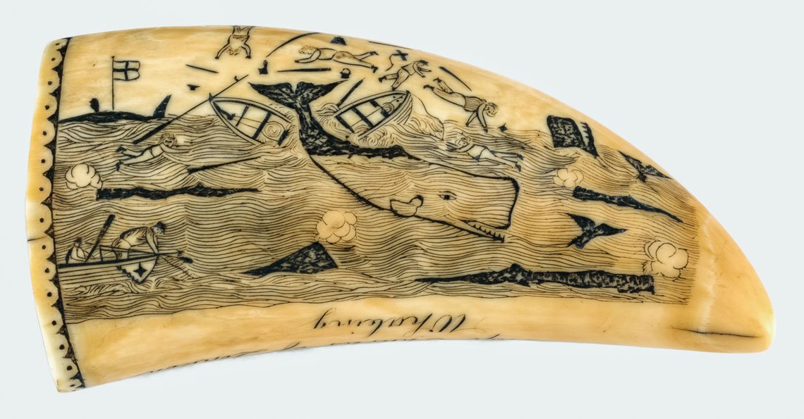 Scrimshaw is a bizarre art form originating on whaling ships, used to ...