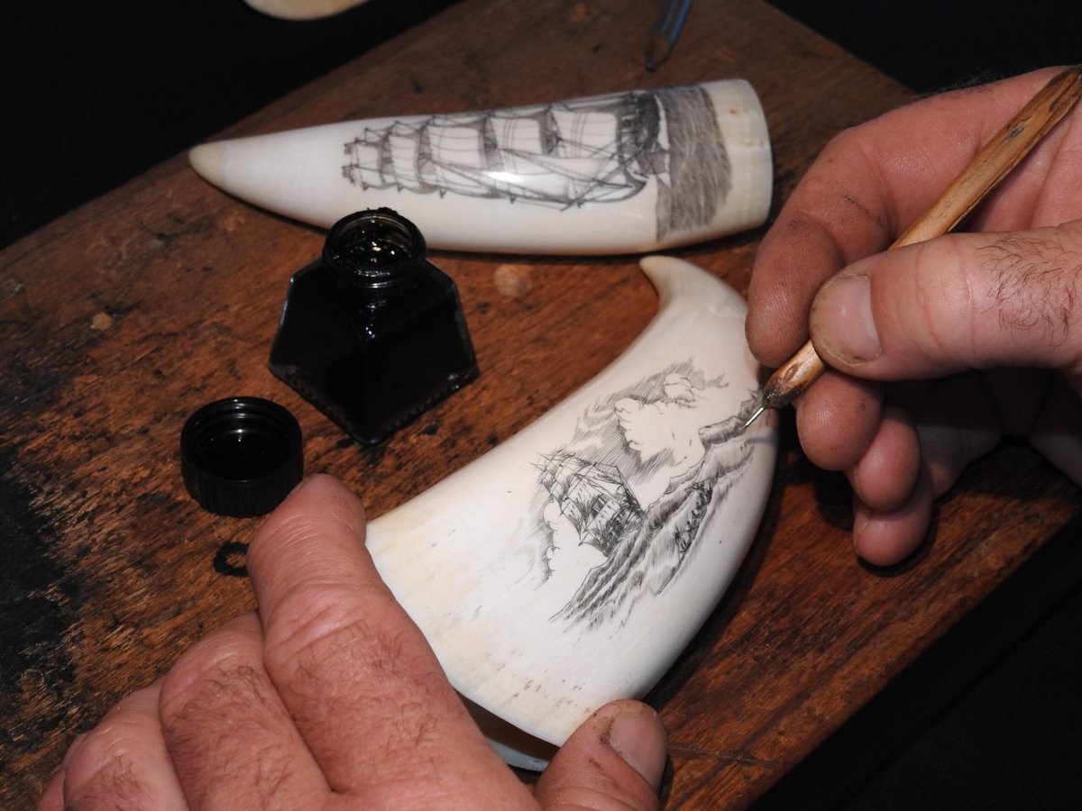 Scrimshaw is a bizarre art form originating on whaling ships, used to ...