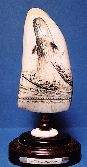 Scrimshaw is a bizarre art form originating on whaling ships, used to ...