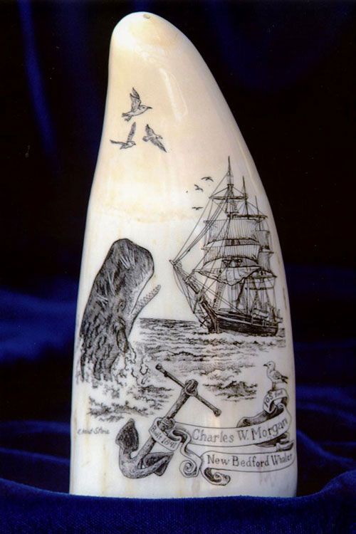 Scrimshaw is a bizarre art form originating on whaling ships, used to ...