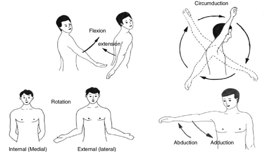 Abduction Movement