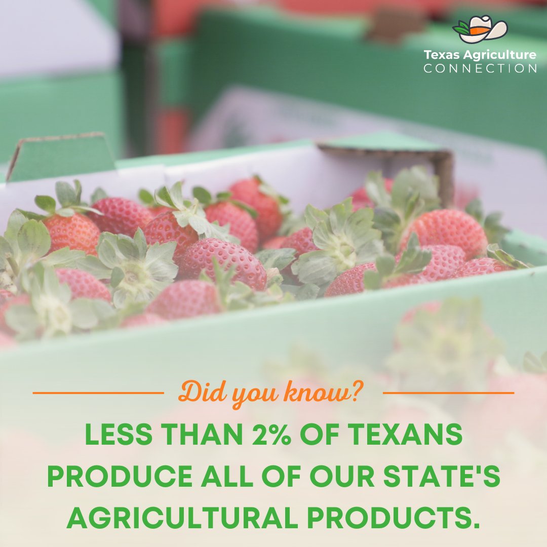 Texas Agricultural Products
