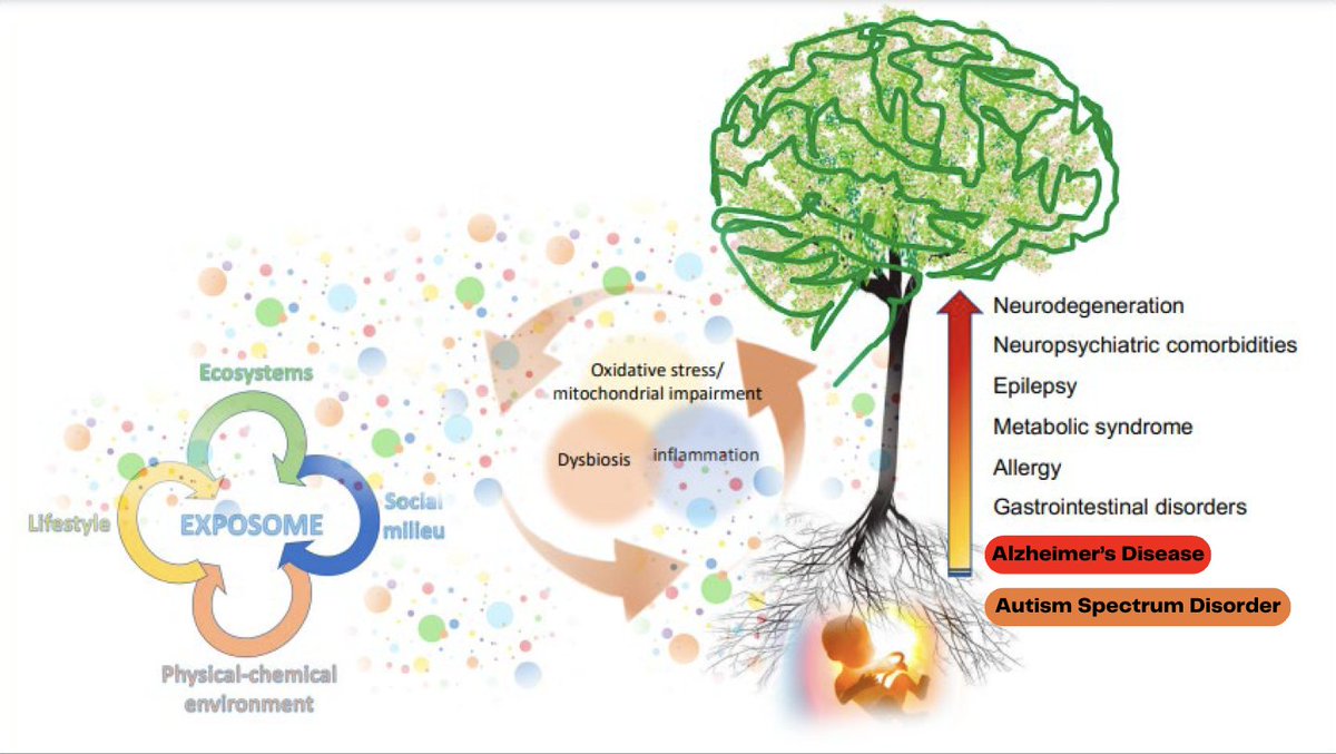 Autism & Alzheimer's are almost the SAME disease. They just show up on ...
