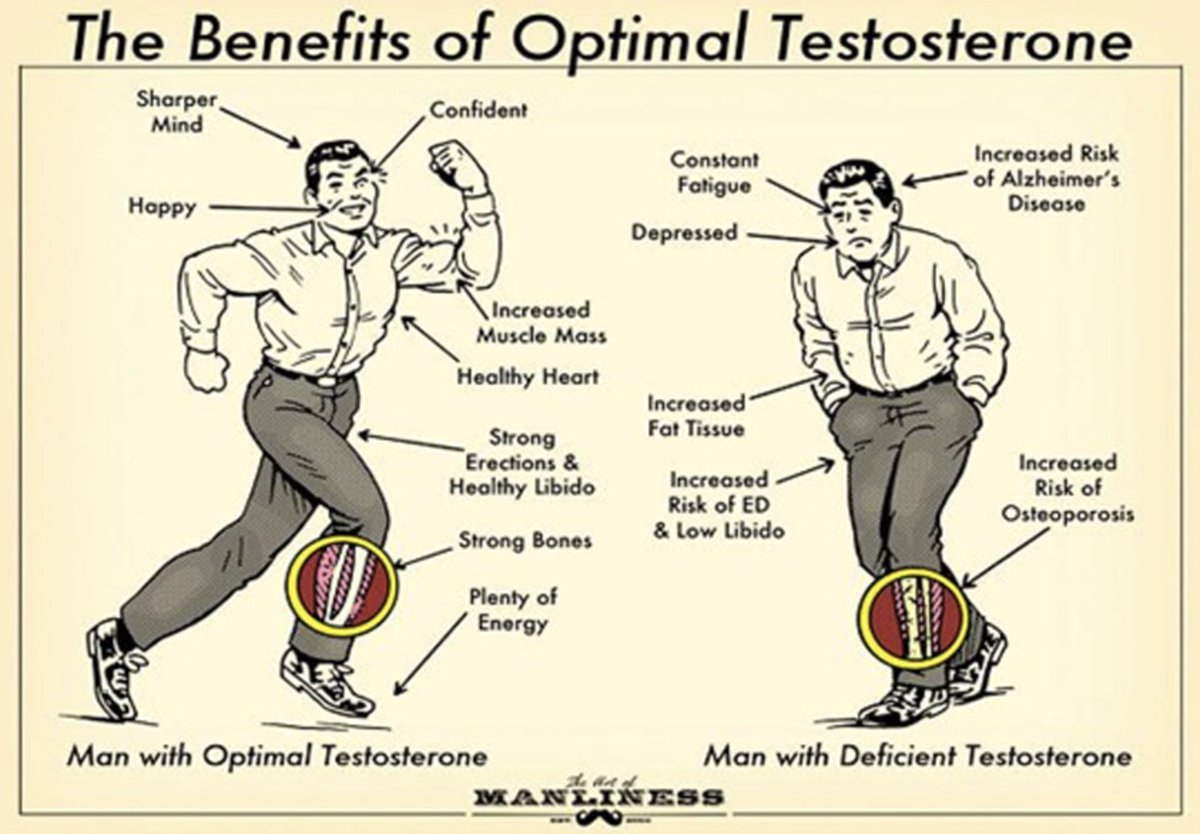 Low testosterone levels is the TRUE pandemic for modern men. Here are 6 ...