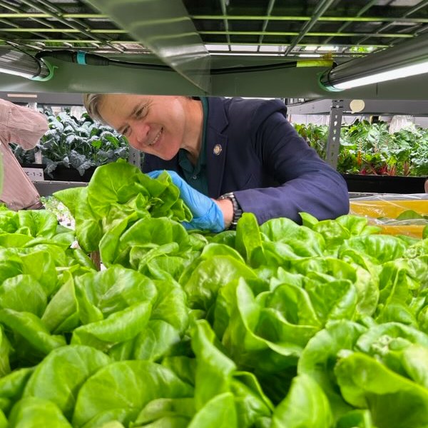 Evan Stavisky, Founding Partner and President, was Recognized on City ...