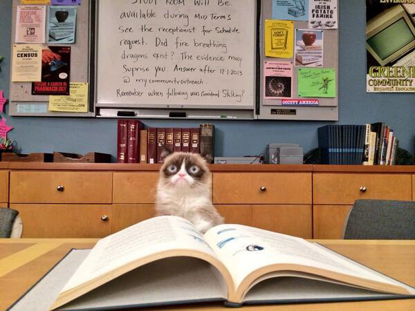 Grumpy Cat Meme Generator