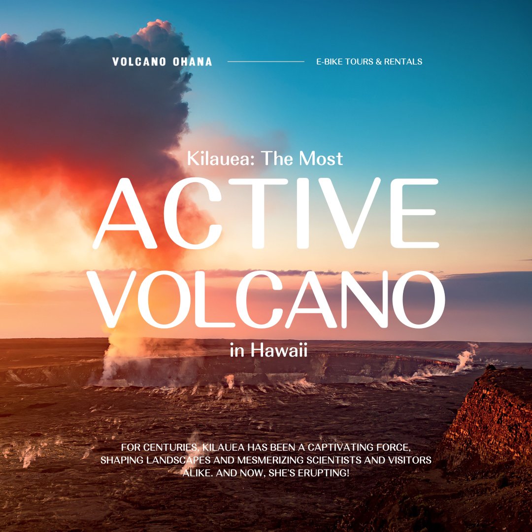 Fat Tourist In Hawaii