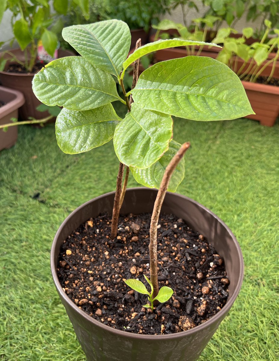 EventBank（イベントバンク）【公式】(@i_eventbank) - Twilog