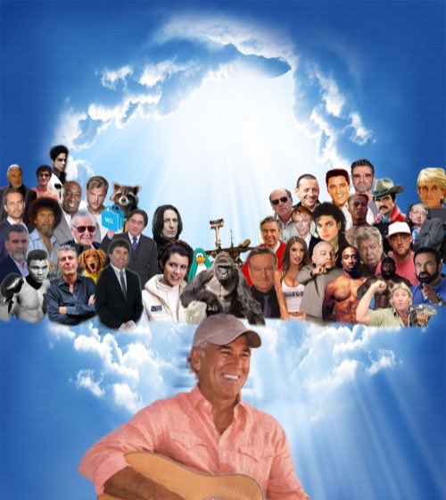 Jimmy Buffett Memes Jimmy Buffett And The Coral Reefers 😁😂🤣