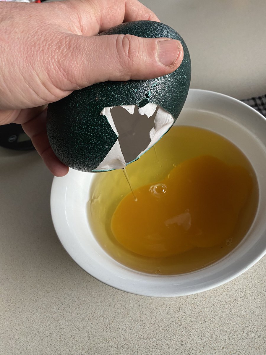 Emu Egg Yolk