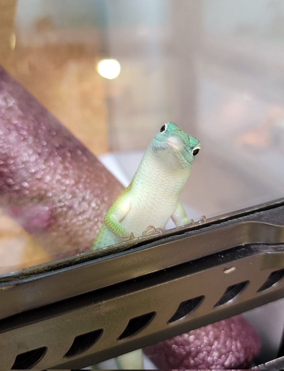 Mika Ishiwata(@mikarin_10) - Twilog