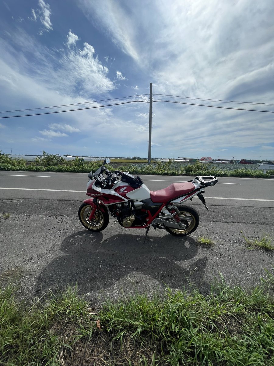 うり坊(@uribou) - Twilog