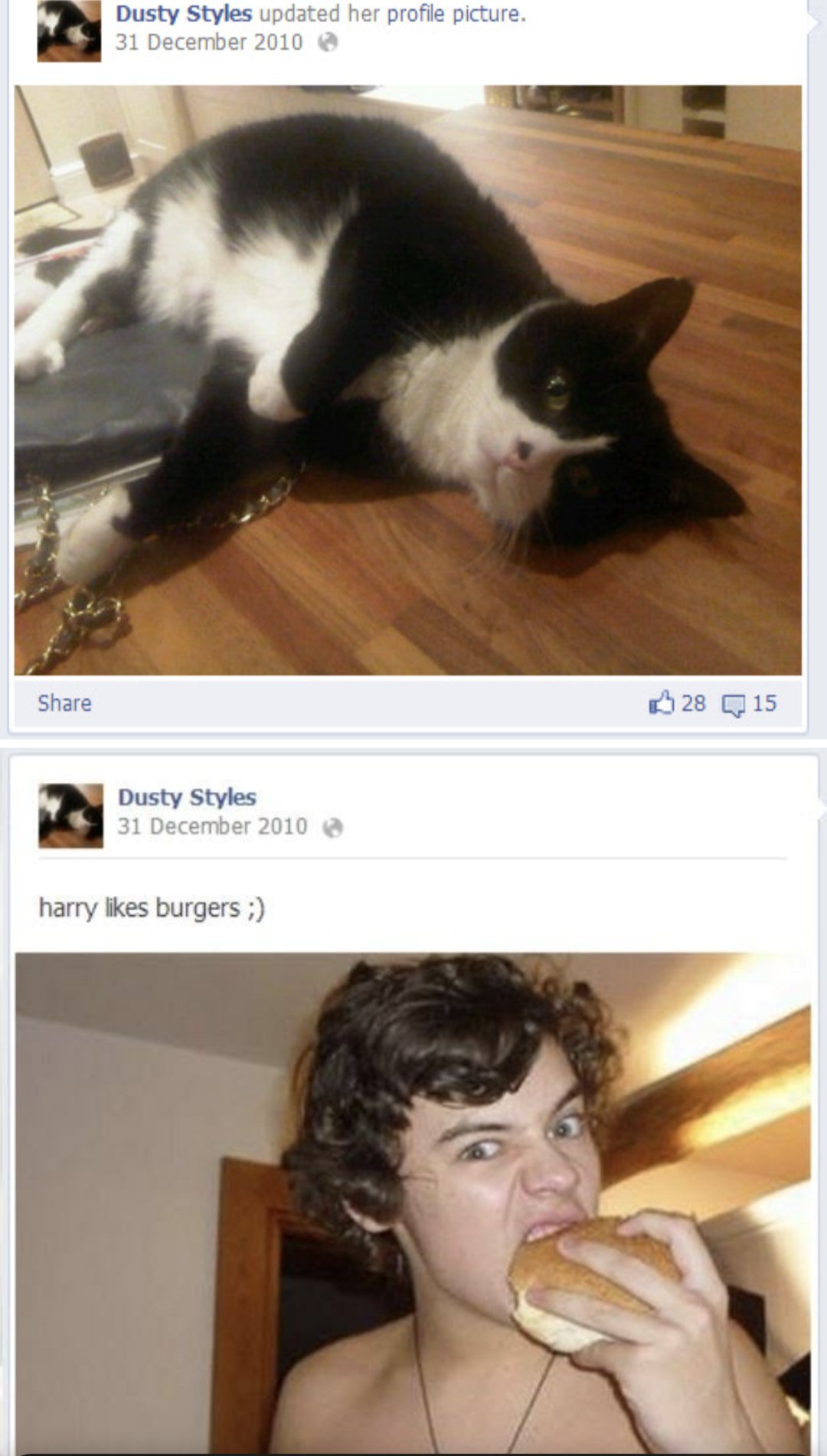 Harry Styles And His Cat