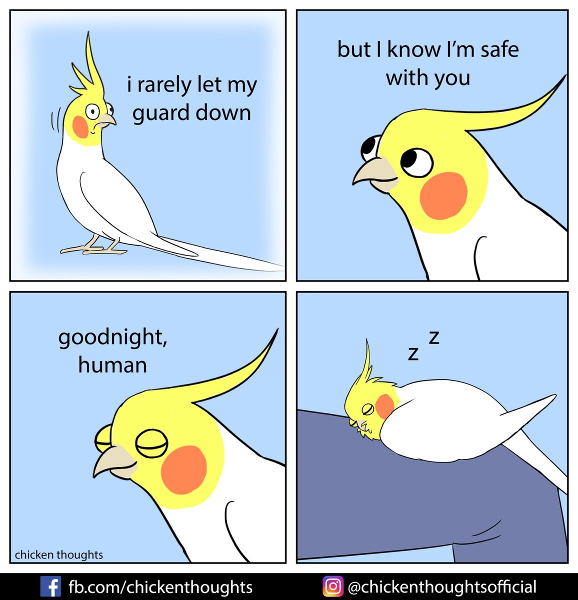 「Bird law article 24 starring Pierre (human: Mickyle Warren),」Chicken ...