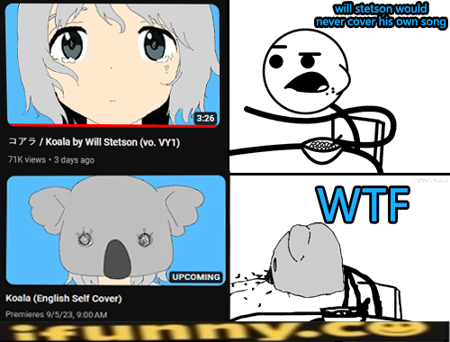 Wtf Koala Memes New Trending GIF Tagged Music Koala Saxophone Toot…