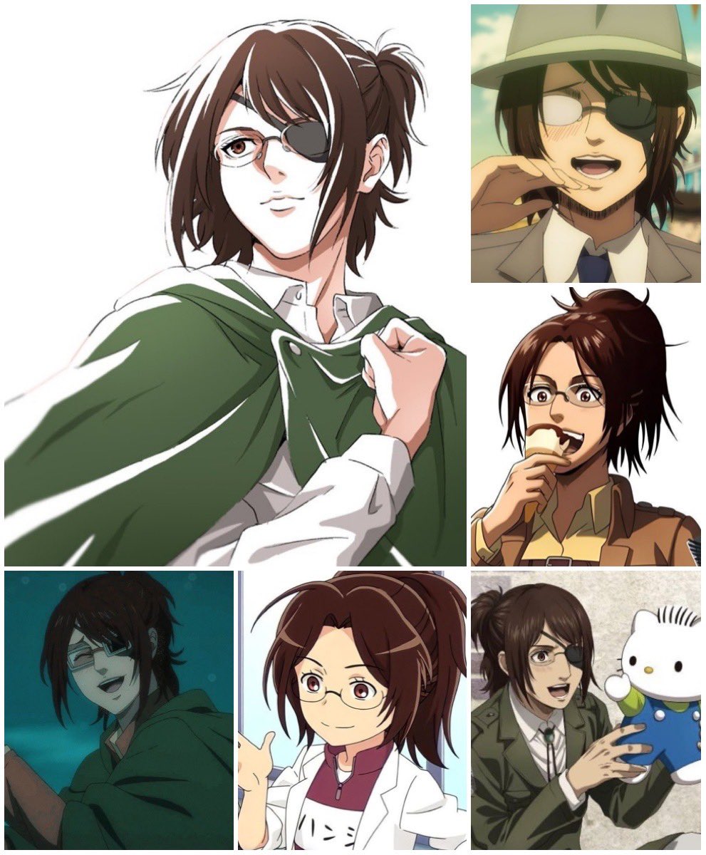 Hanji Zoe Memes ZTIAN Anime Pillow For Attack On Titan Hange Zoe,Funny