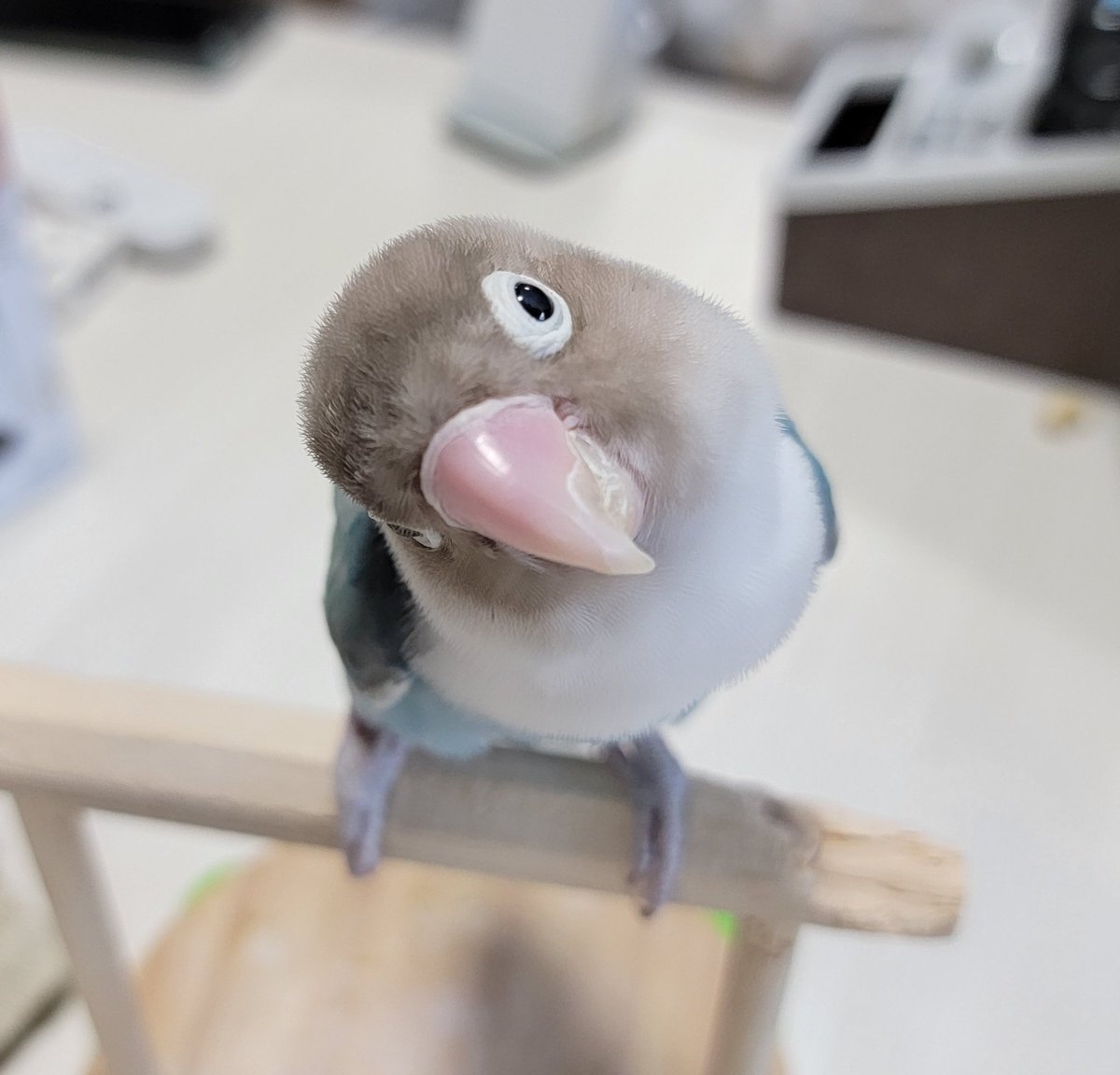 Mika Ishiwata(@mikarin_10) - Twilog