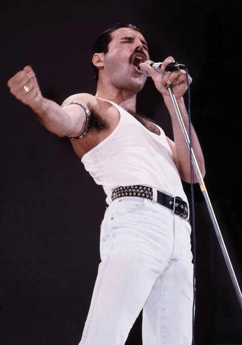 Freddie Mercury Rage Pose
