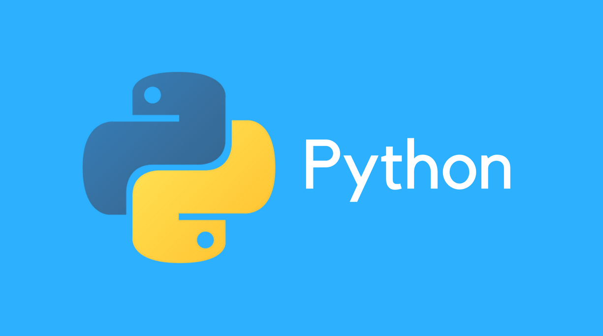 Python Programmer Wallpaper