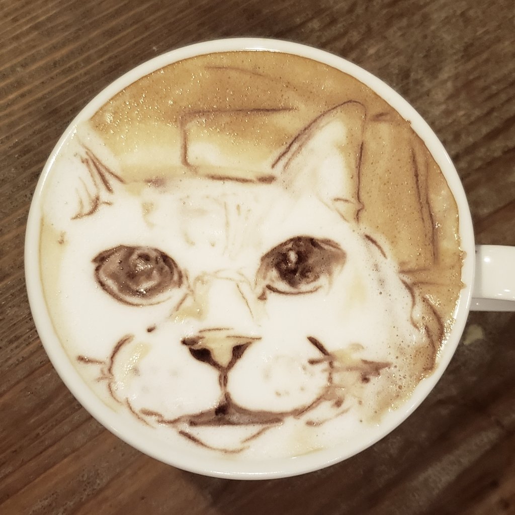 Grumpy Cat Coffee Foam