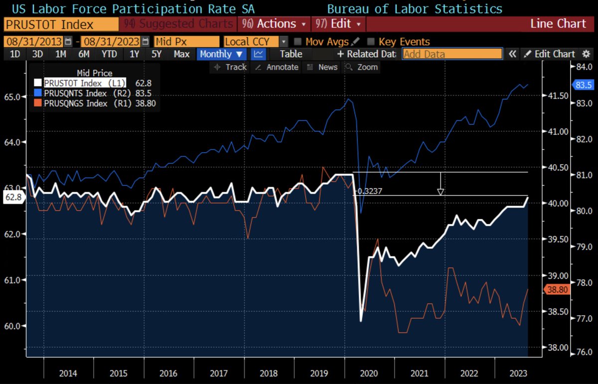 Gero Patterer's Threads – Thread Reader App
