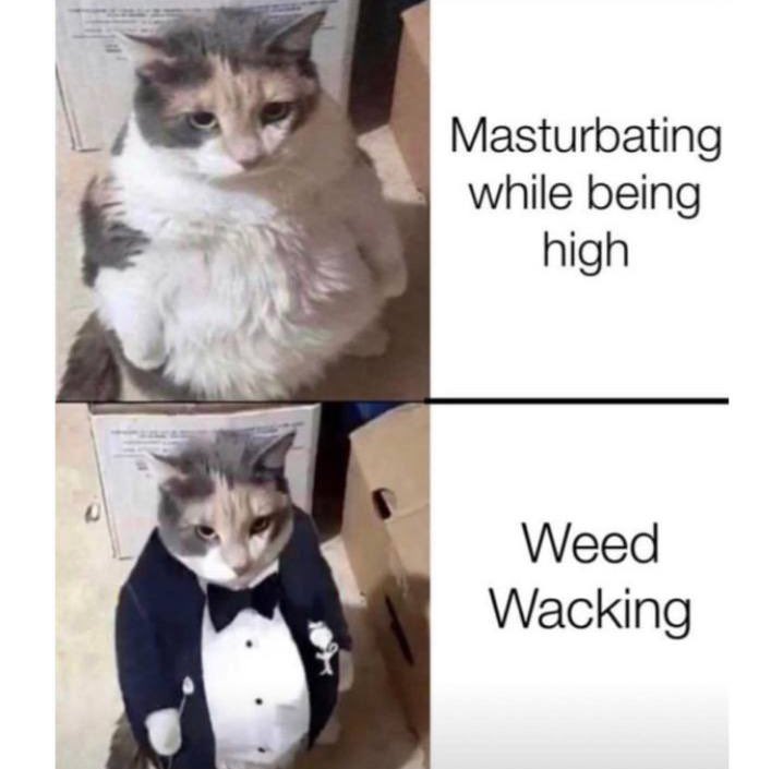 Being High Memes