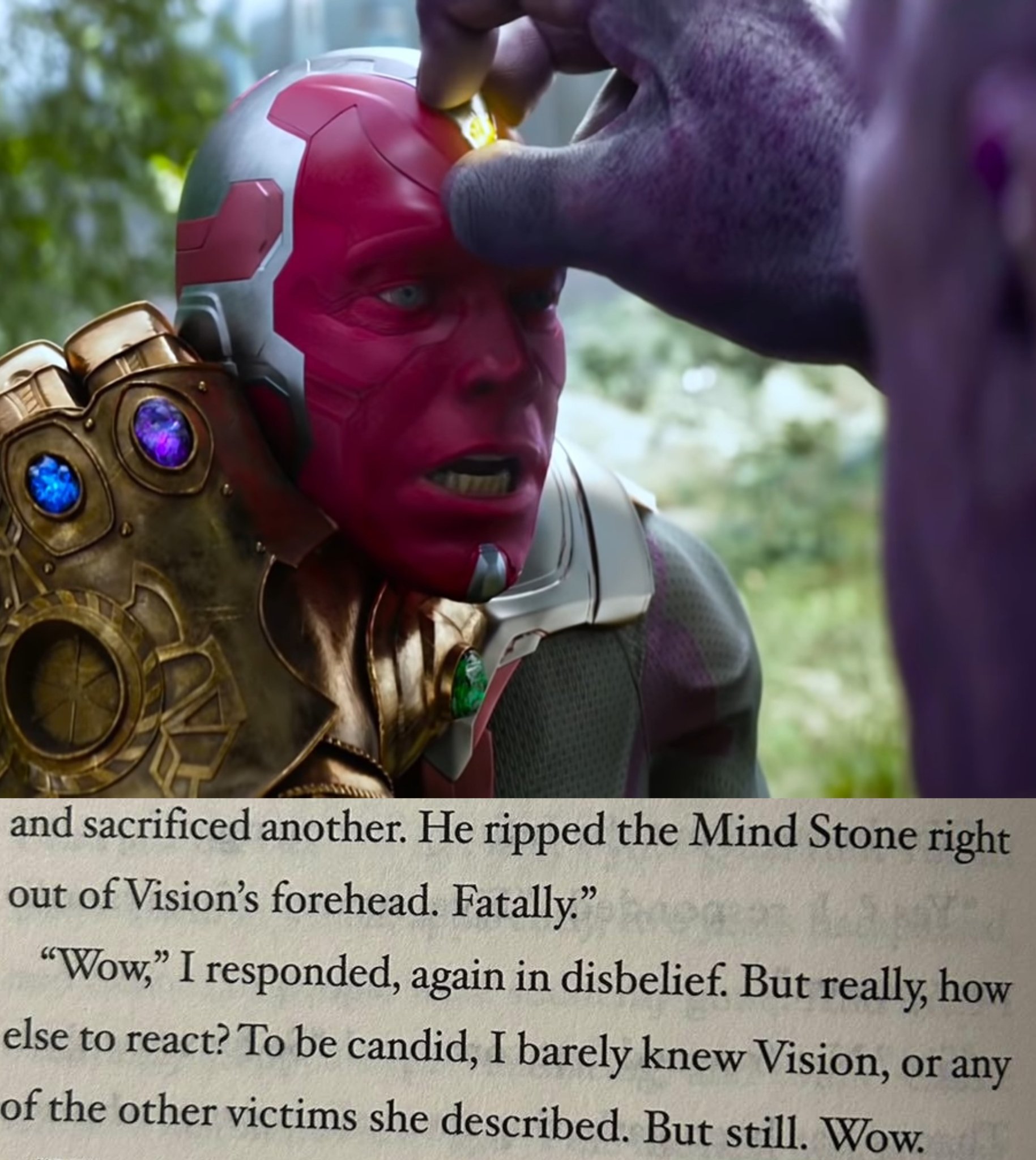 Scarlet Witch Updates on X Scott Lang s reaction to Vision s death in Avengers Infinity War He ripped the Mind Stone right out of Vision s forehead. Fatally. Wow I responded again in disbelief